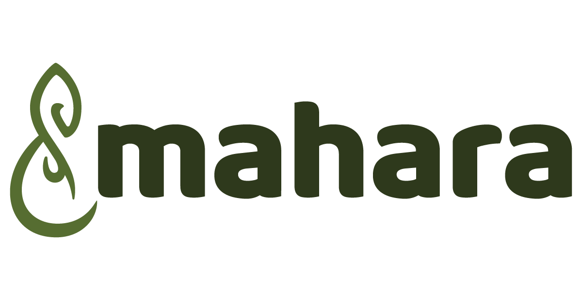 SAE 2.3 Fabrication de pièce unitaire - Mahara IUT Dijon-Auxerre