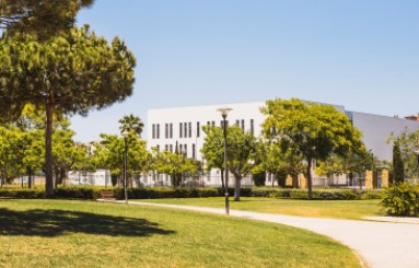 International > IUT Dijon-Auxerre-Nevers